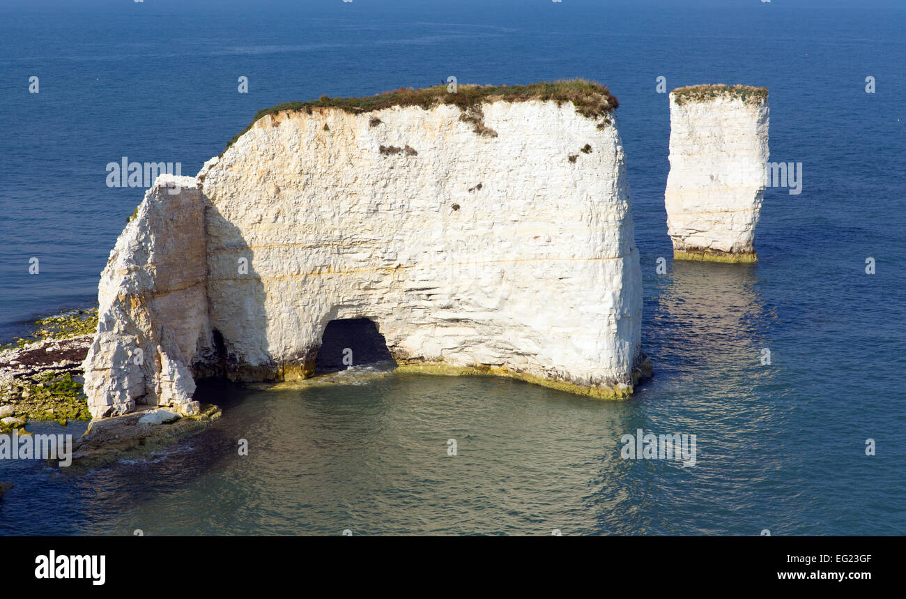 Chalk cliffs Old Harry Rocks Isle of Purbeck in Dorset south England UK ...