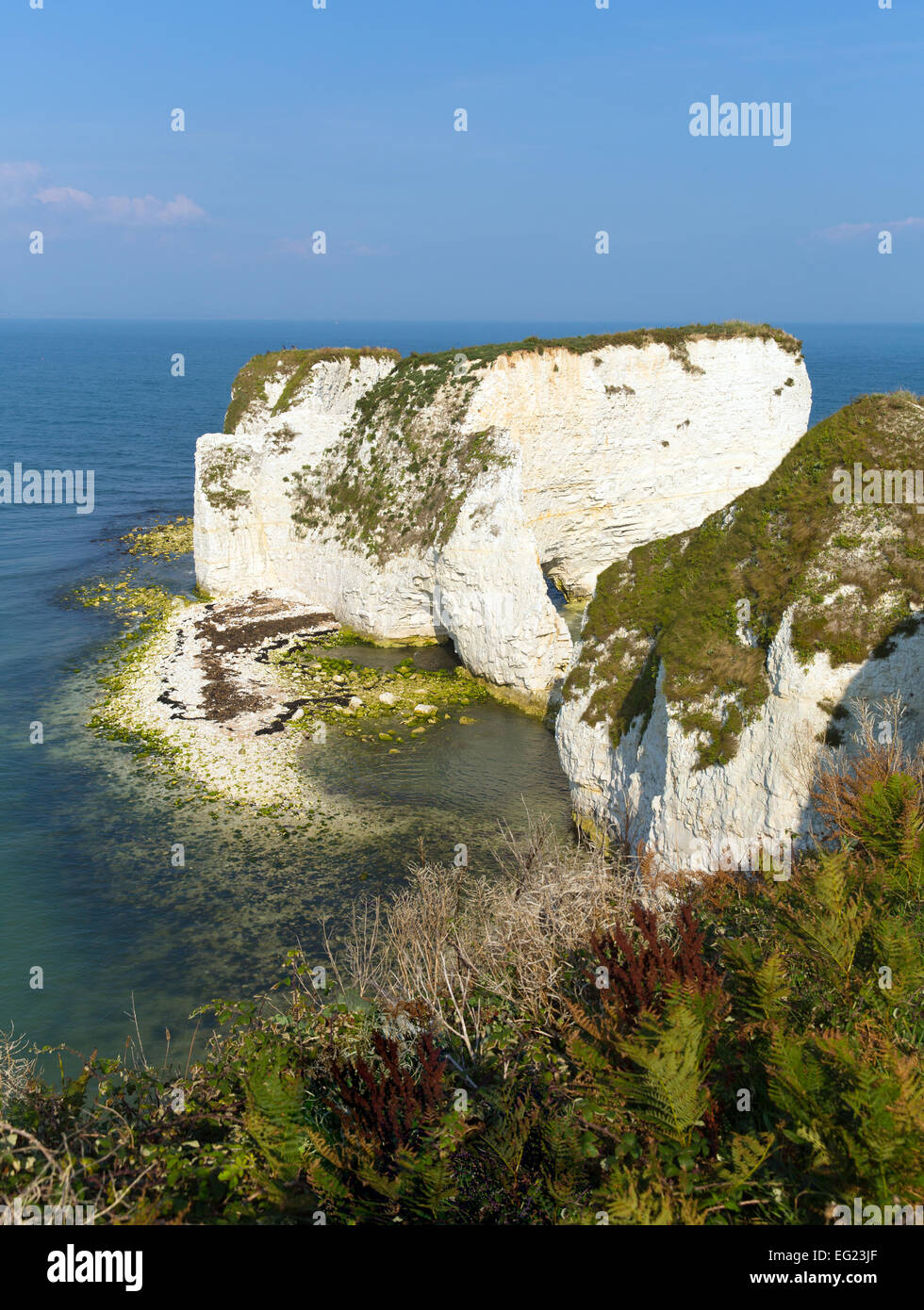 Jurassic Coast Studland Dorset England UK Old Harry Rocks chalk ...
