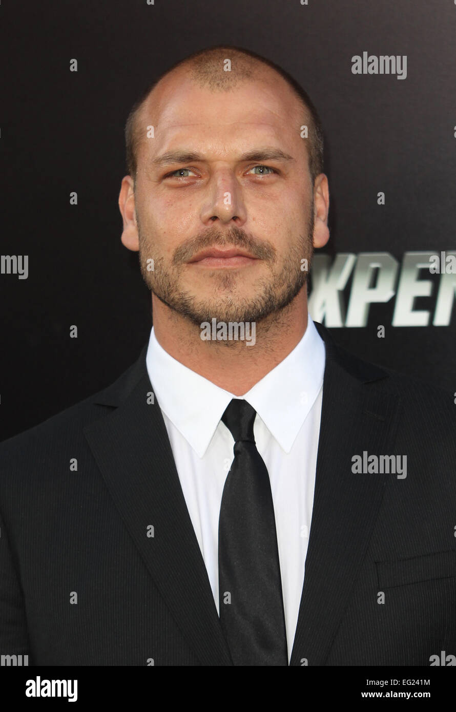 Premiere Of Lionsgate Films' "The Expendables 3" Featuring: Patrick ...
