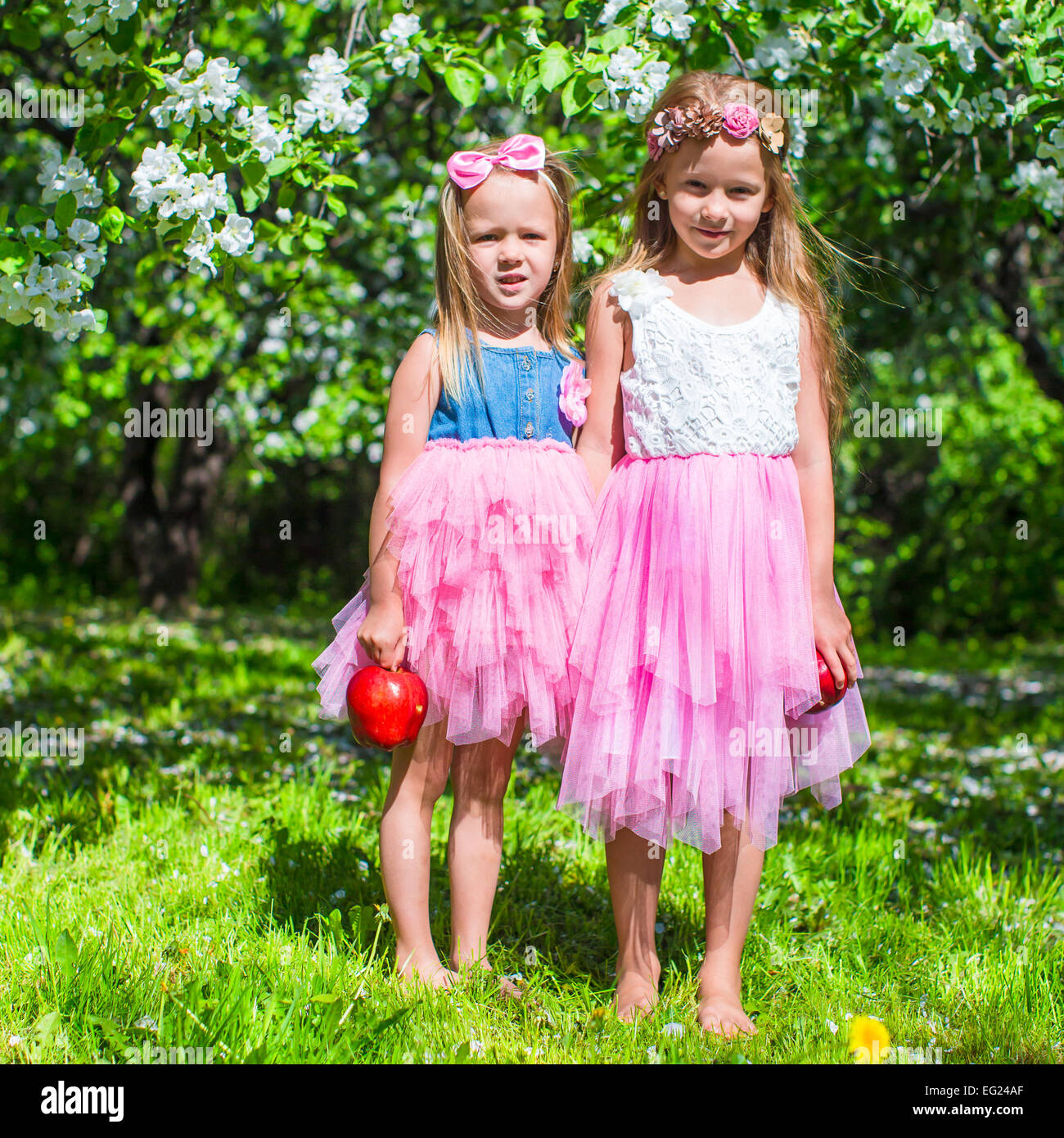 Adorable little girls have fun in blossoming apple tree garden at may Stock Photo - Alamy