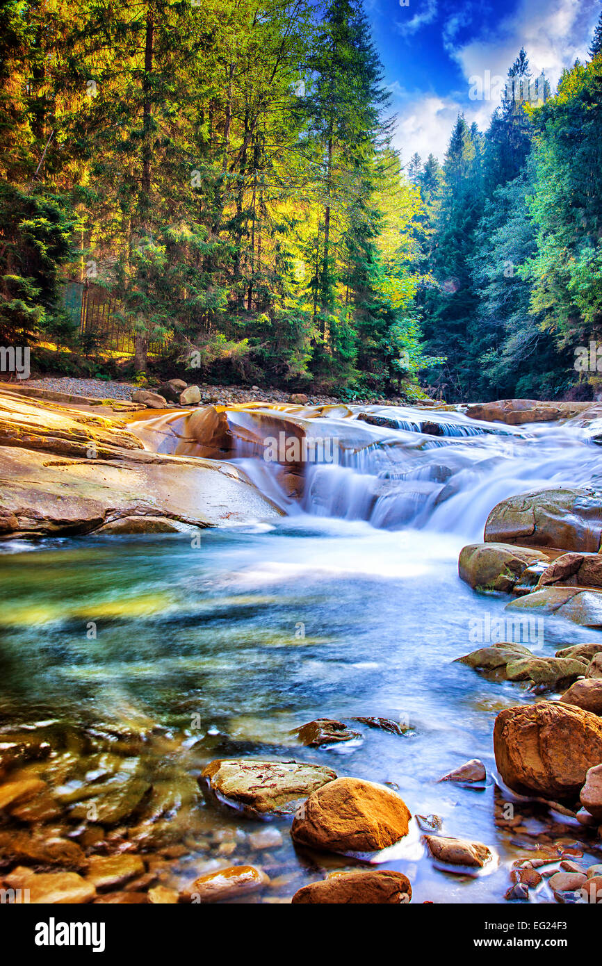 Beautiful waterfall in the forest, amazing fast water stream between ...