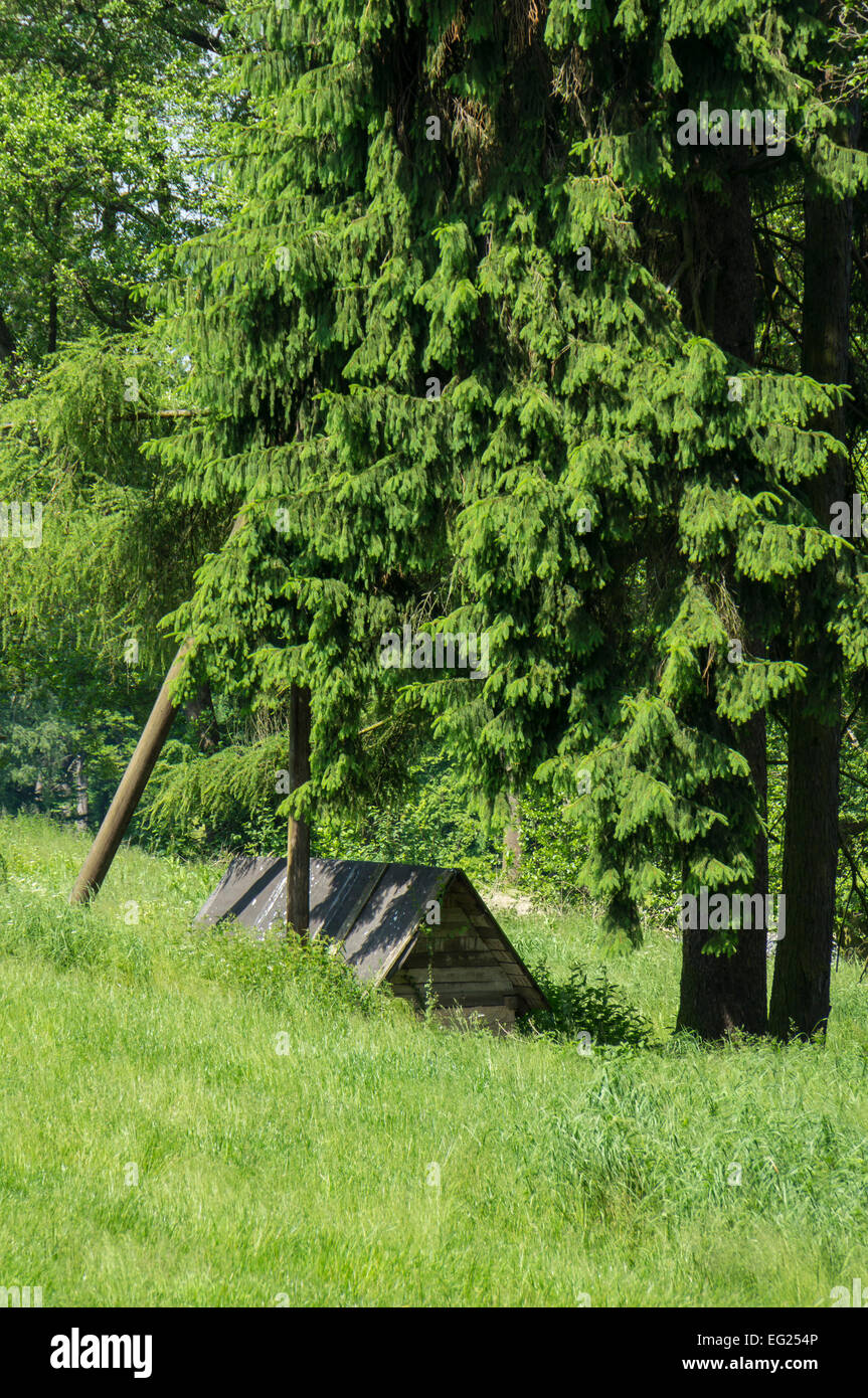 Abandoned hut trees abandoned hi-res stock photography and images - Alamy