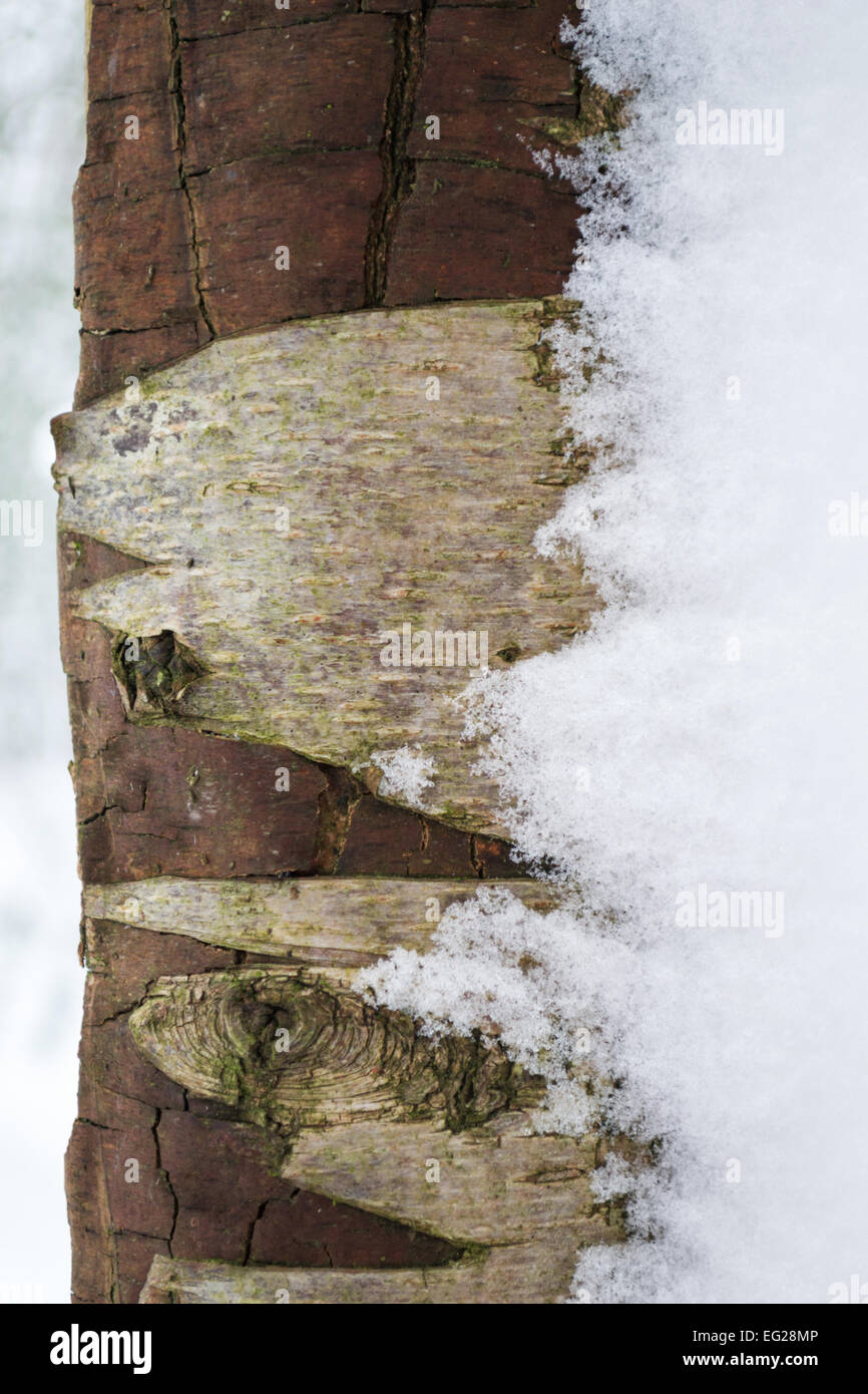 Texture snow hi-res stock photography and images - Alamy