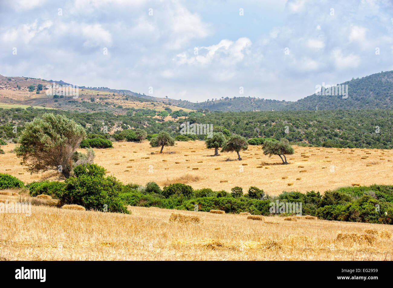 Rural cyprus hi-res stock photography and images - Alamy
