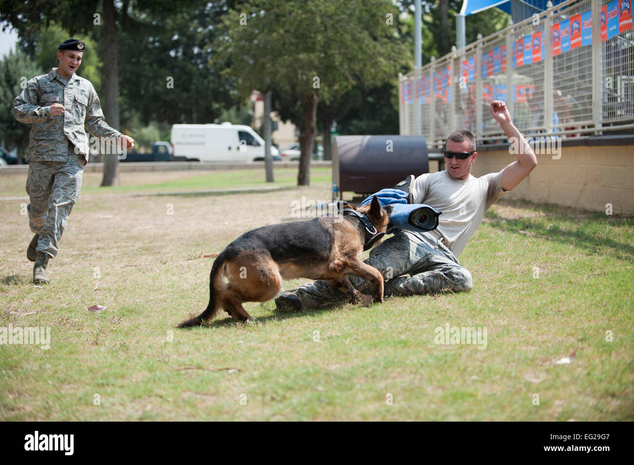 A military working dog takes down a “perpetrator” during an Operation ...