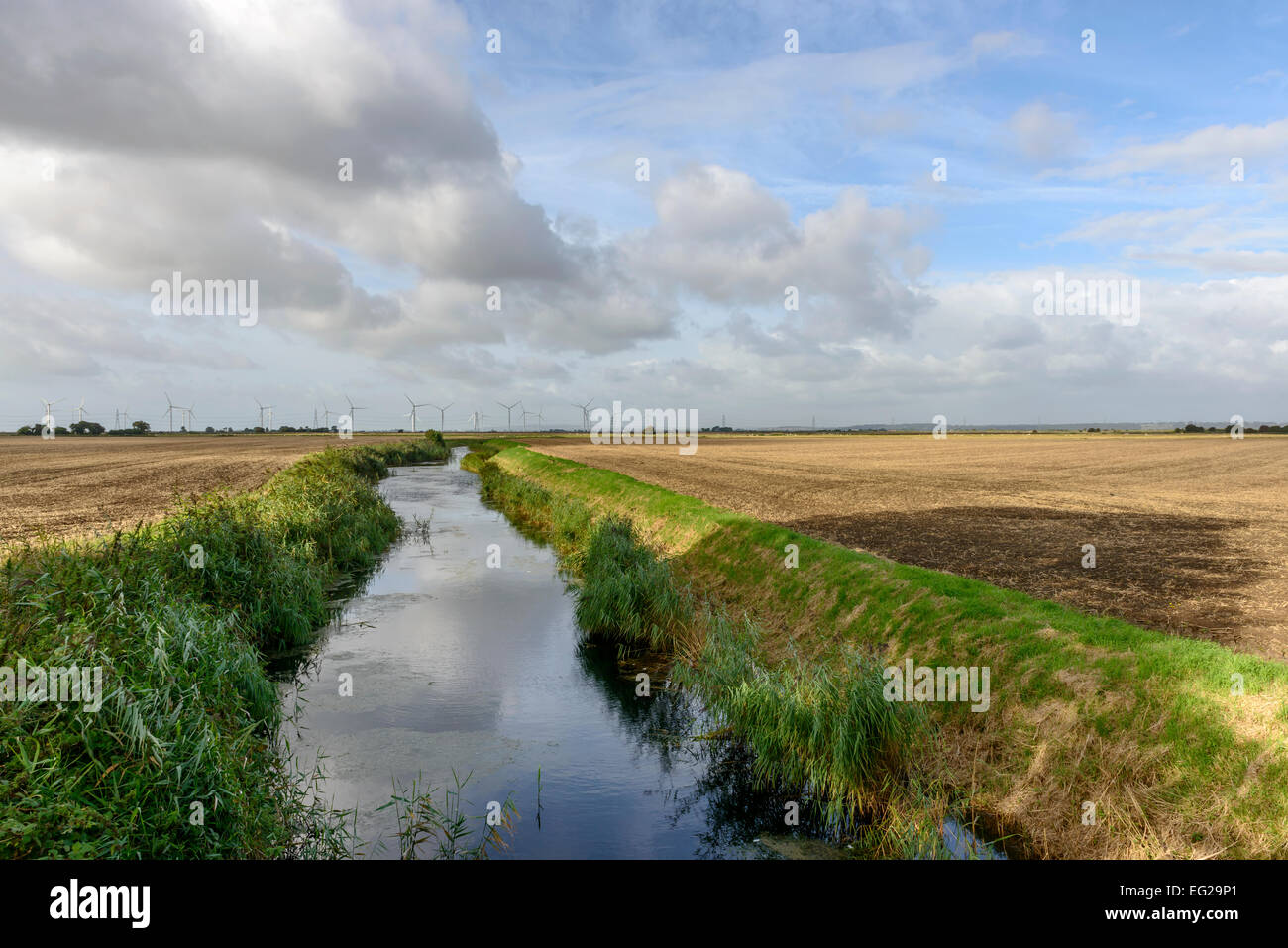 landscape of the marsh with a ditch between large fields, in distance ...