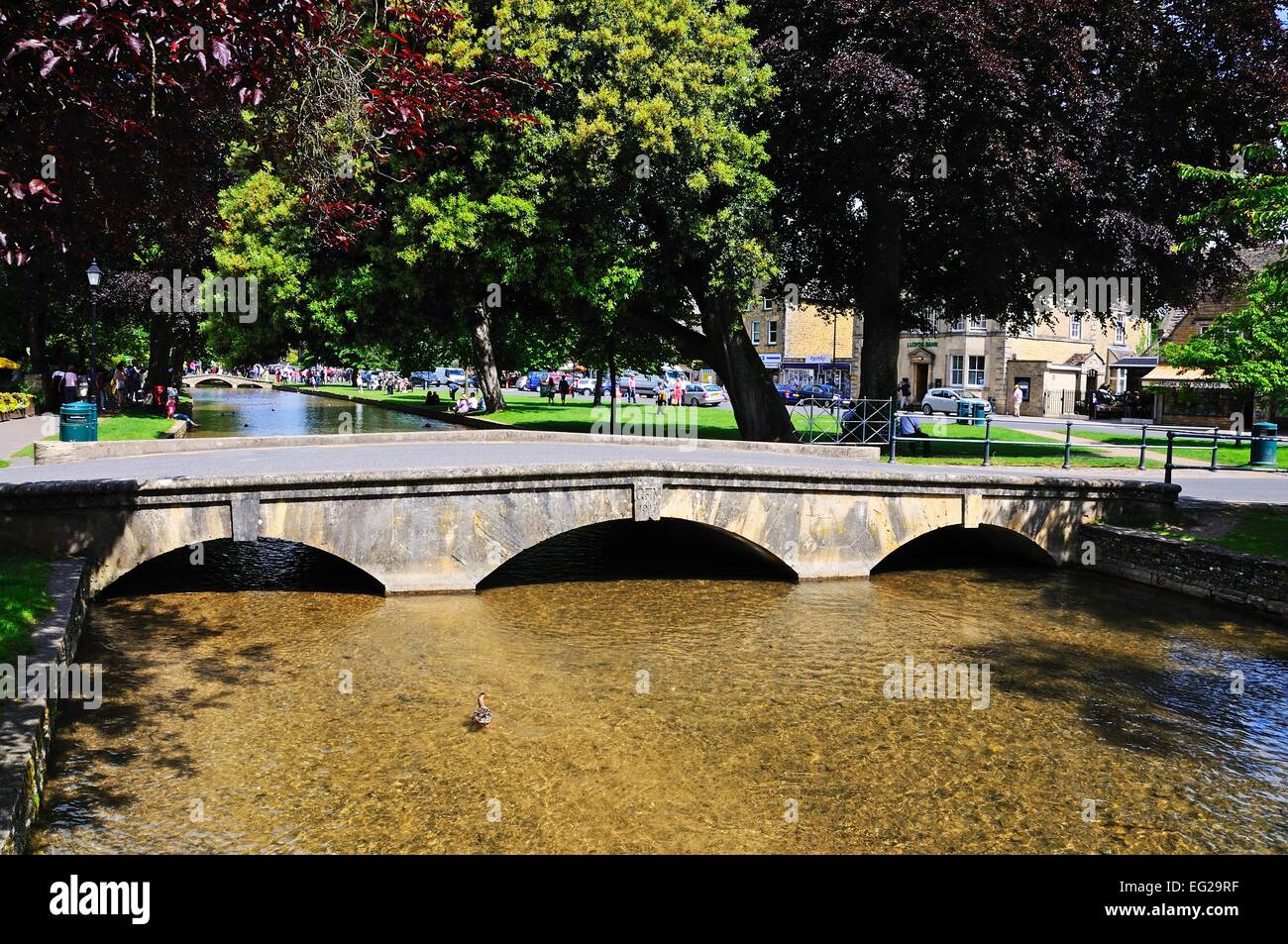 Stone footbridges across the River Windrush in the village centre ...