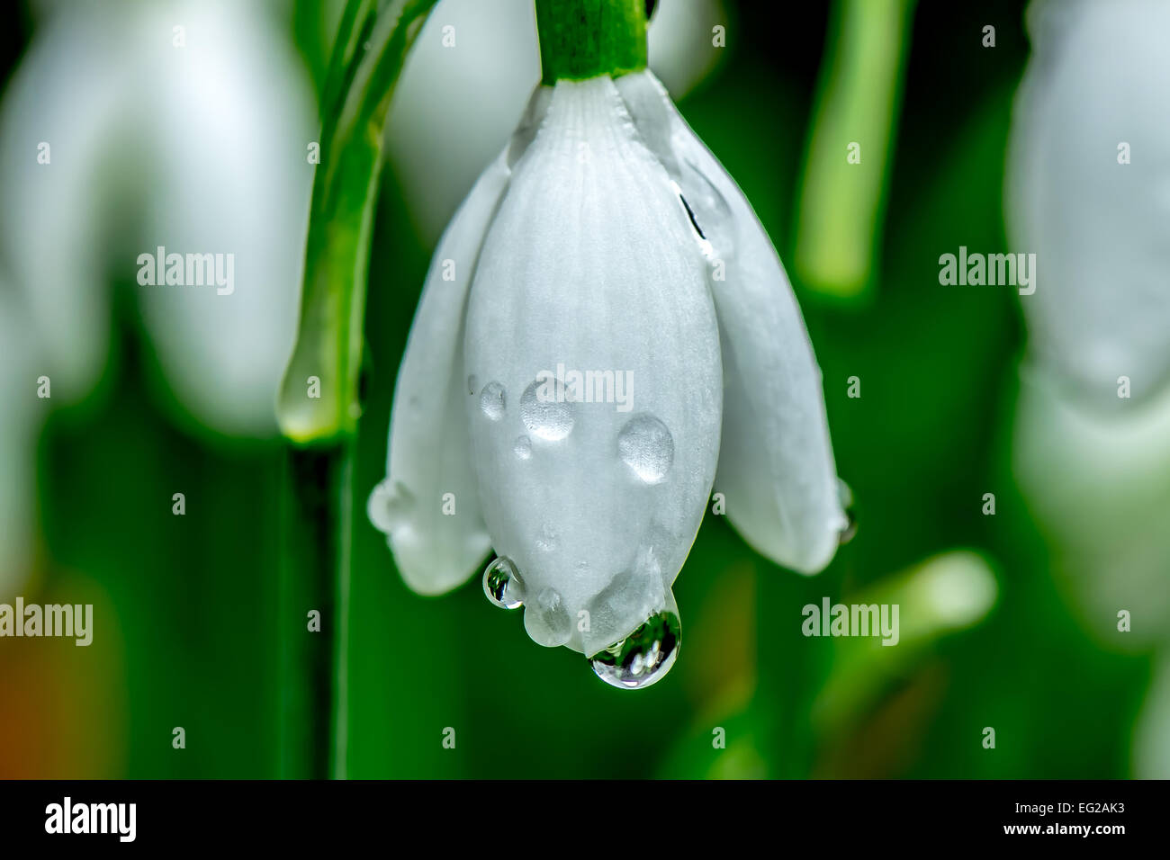 Farmer uk rain hi-res stock photography and images - Alamy