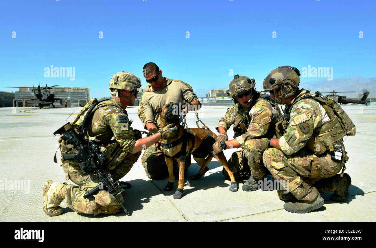 Pararescuemen assigned to the 83rd Expeditionary Rescue Squadron and U ...