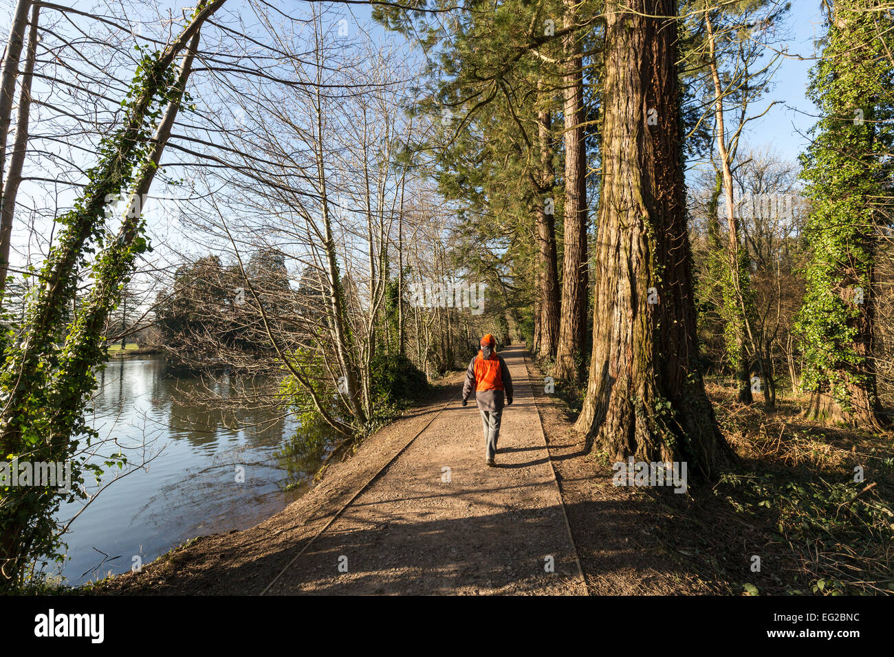 Tredegar house country park newport hi-res stock photography and images ...
