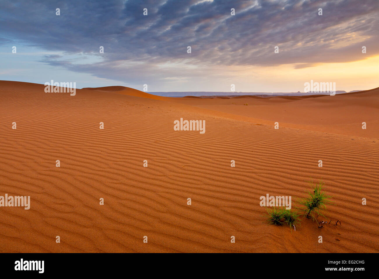 Harsh condition sahara desert hi-res stock photography and images - Alamy