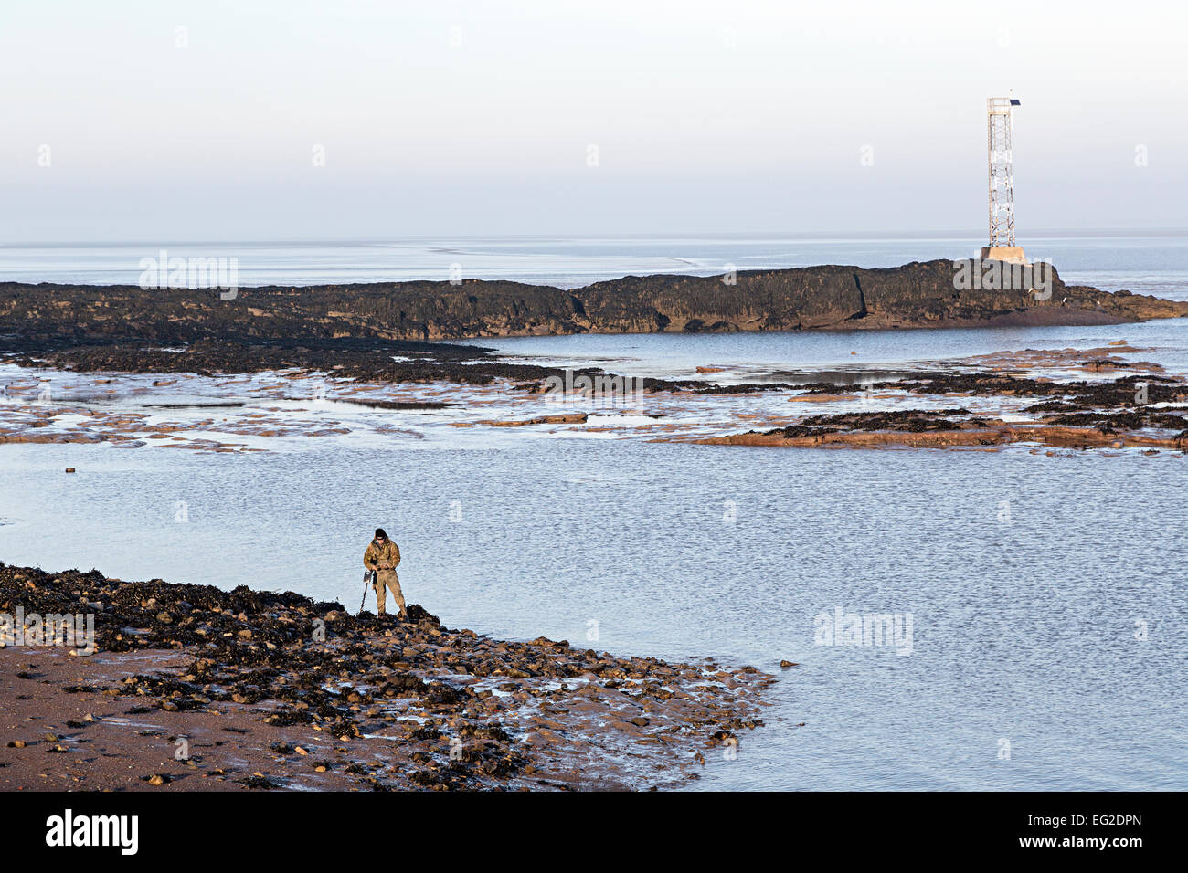Metal detectorist on the muddy banks of the River Severn at low tide ...