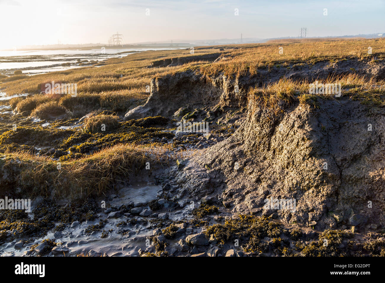 Eroding clay and mudbanks on the salt marsh at Beachley Point, River ...