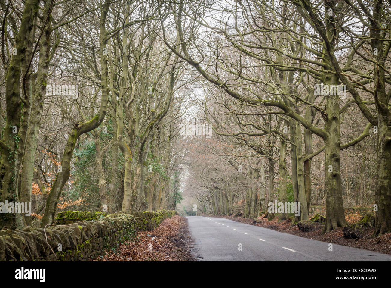 Grenoside hi-res stock photography and images - Alamy