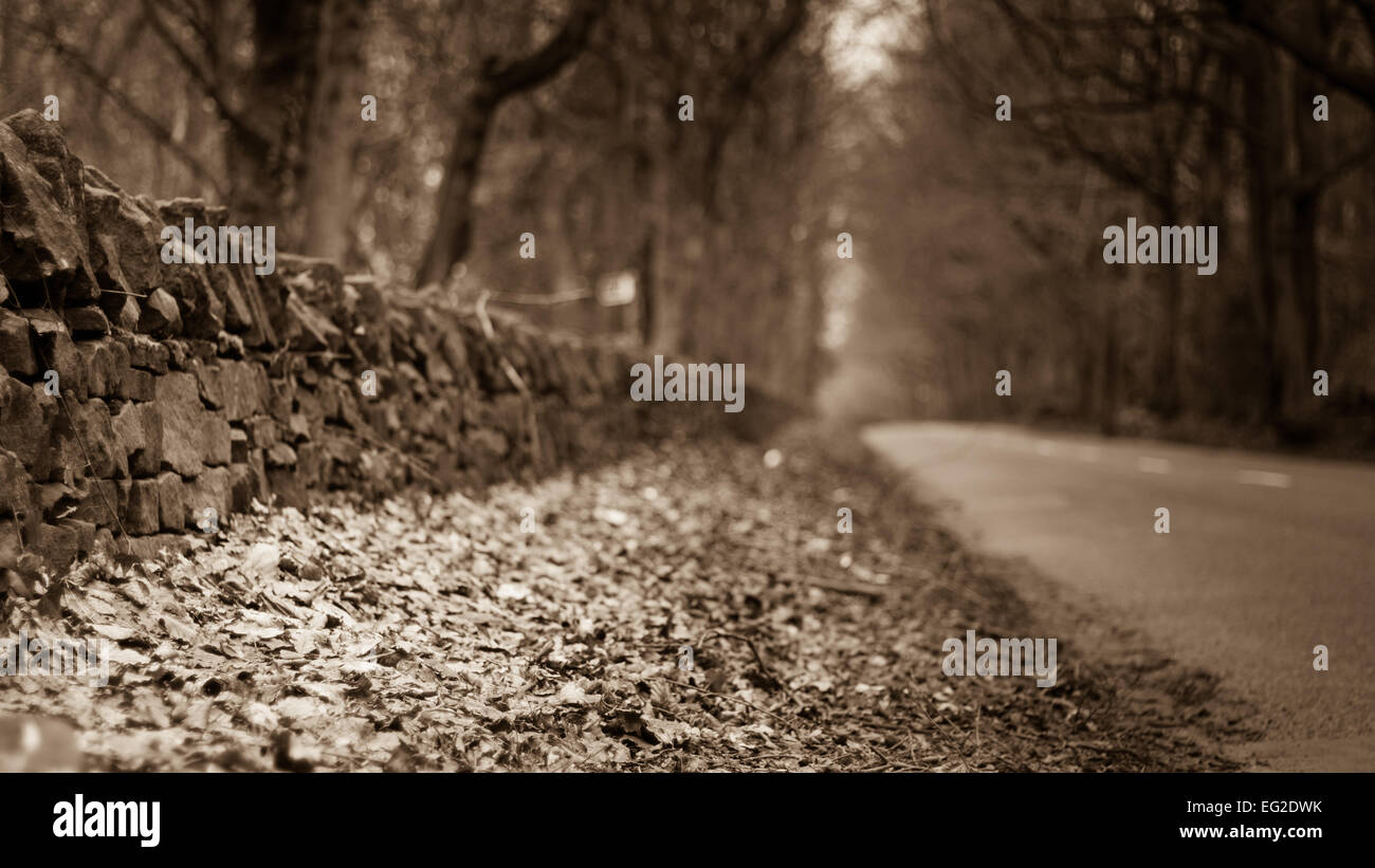 Grenoside hi-res stock photography and images - Alamy