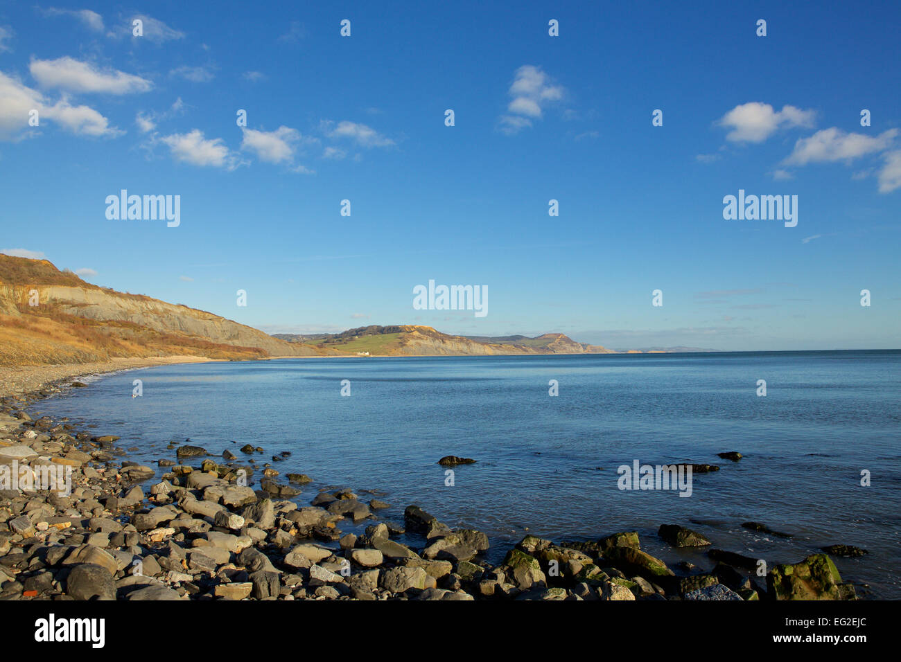 Sedimentary rocks fossils hi-res stock photography and images - Alamy