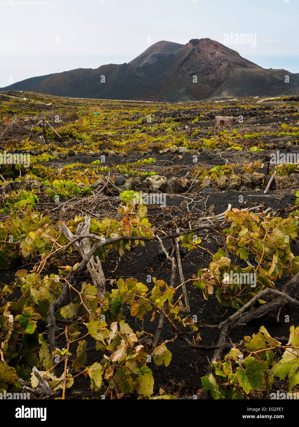 Black volcanic soil hi-res stock photography and images - Alamy