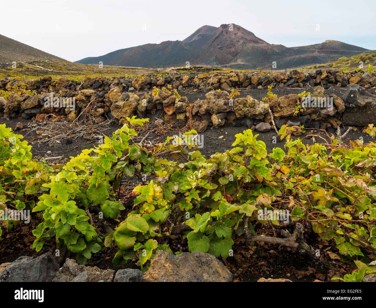 Black volcanic soil hi-res stock photography and images - Alamy