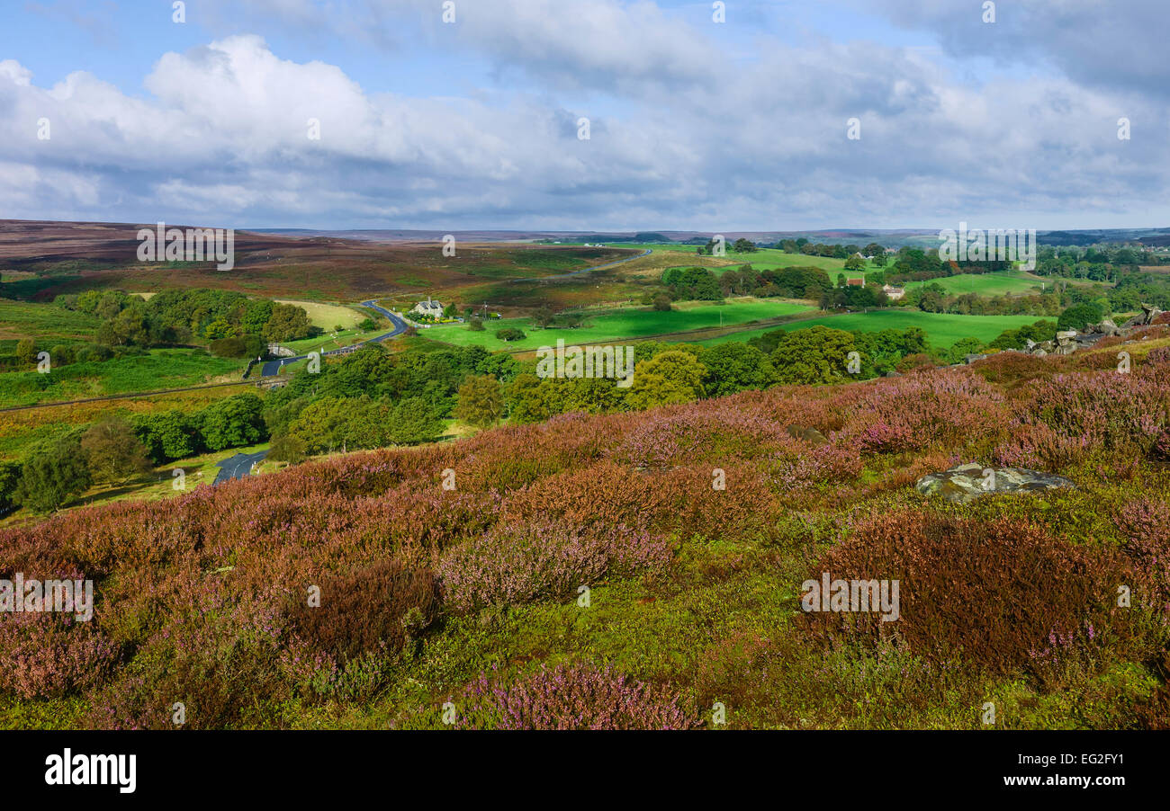 The North York Moors on a fine autumn morning with heather in bloom ...