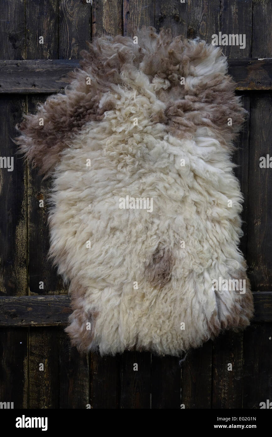 A whole sheepskin hanged in an Arab farmhouse in Galilee northern ...