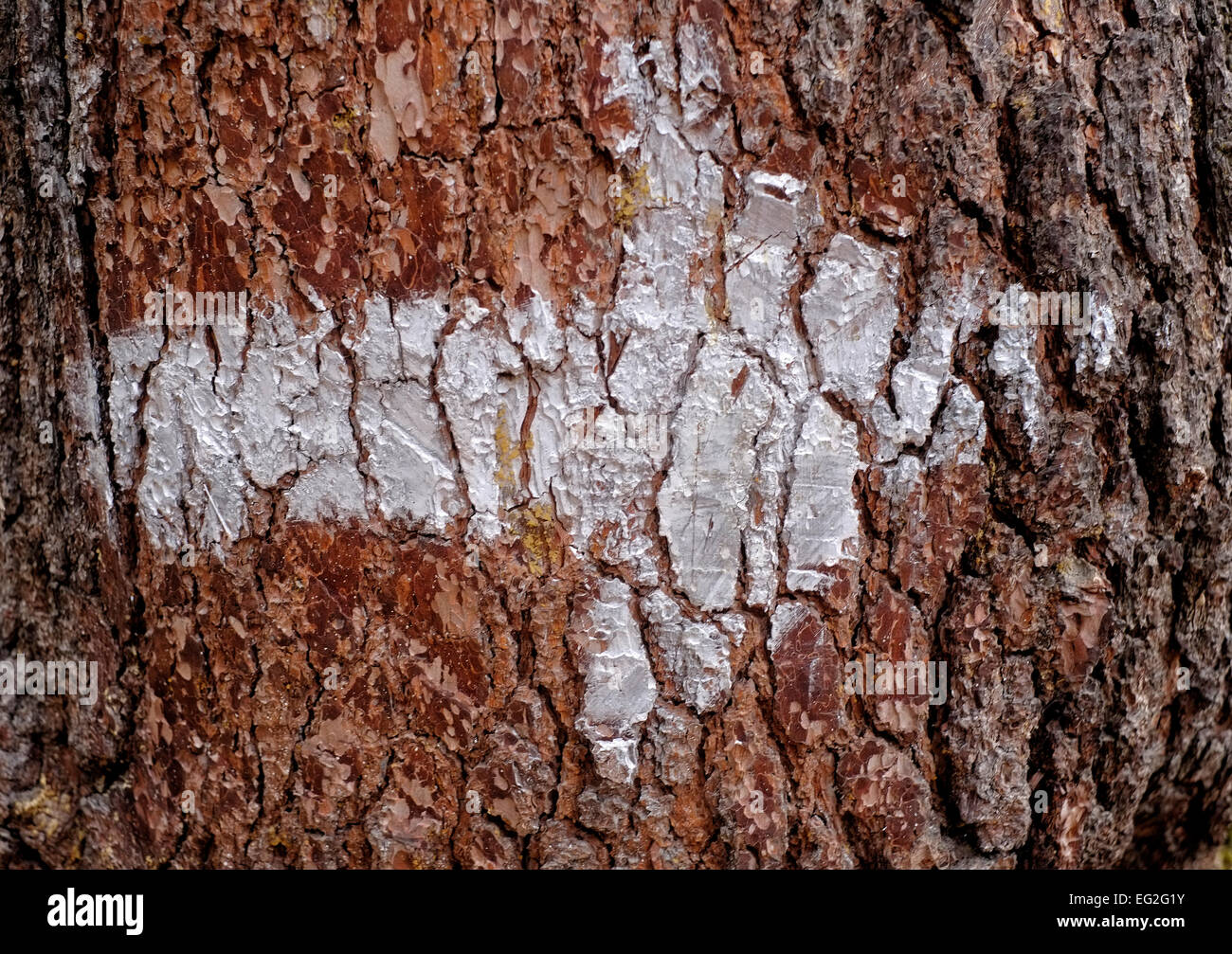 Direction sign park hi-res stock photography and images - Alamy
