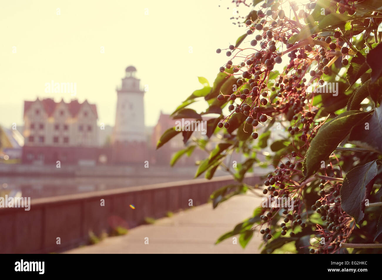 Kaliningrad street Morning Stock Photo - Alamy