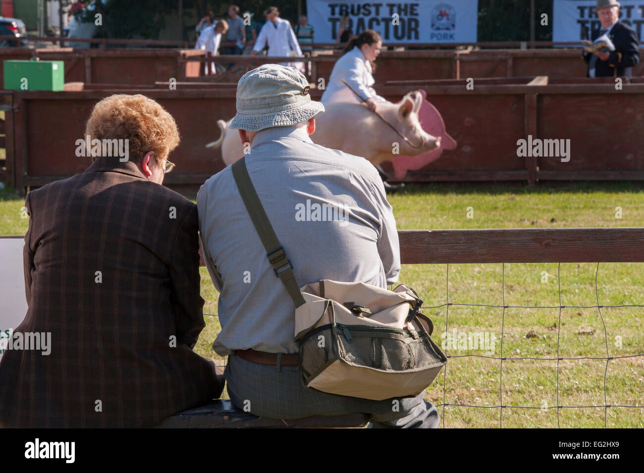 Day out for 2 elderly spectators who watch a Large White Pig & handler ...