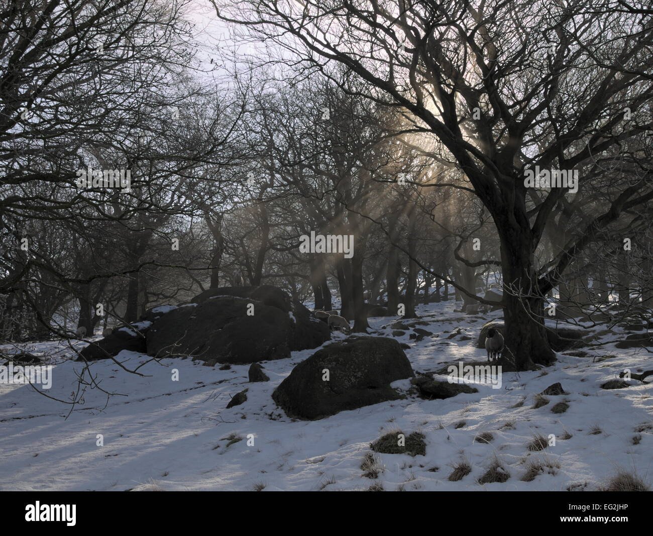 Dovestones reservoir snow hi-res stock photography and images - Alamy