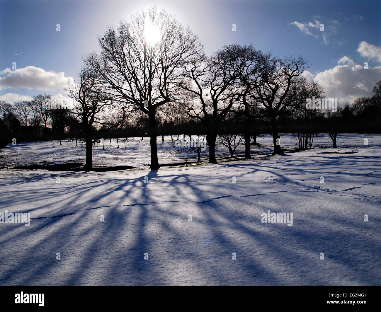Tree shadows in the snow on a golf course Stock Photo - Alamy