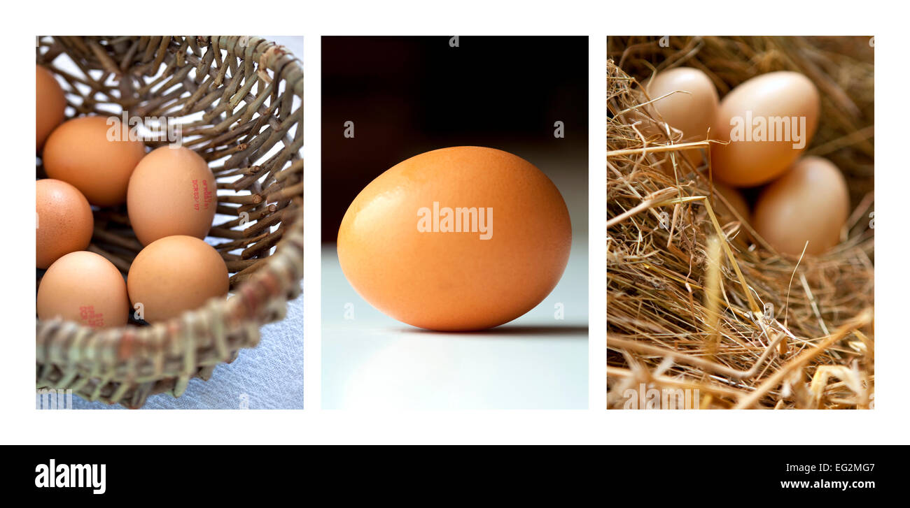 Farm collage hi-res stock photography and images - Alamy