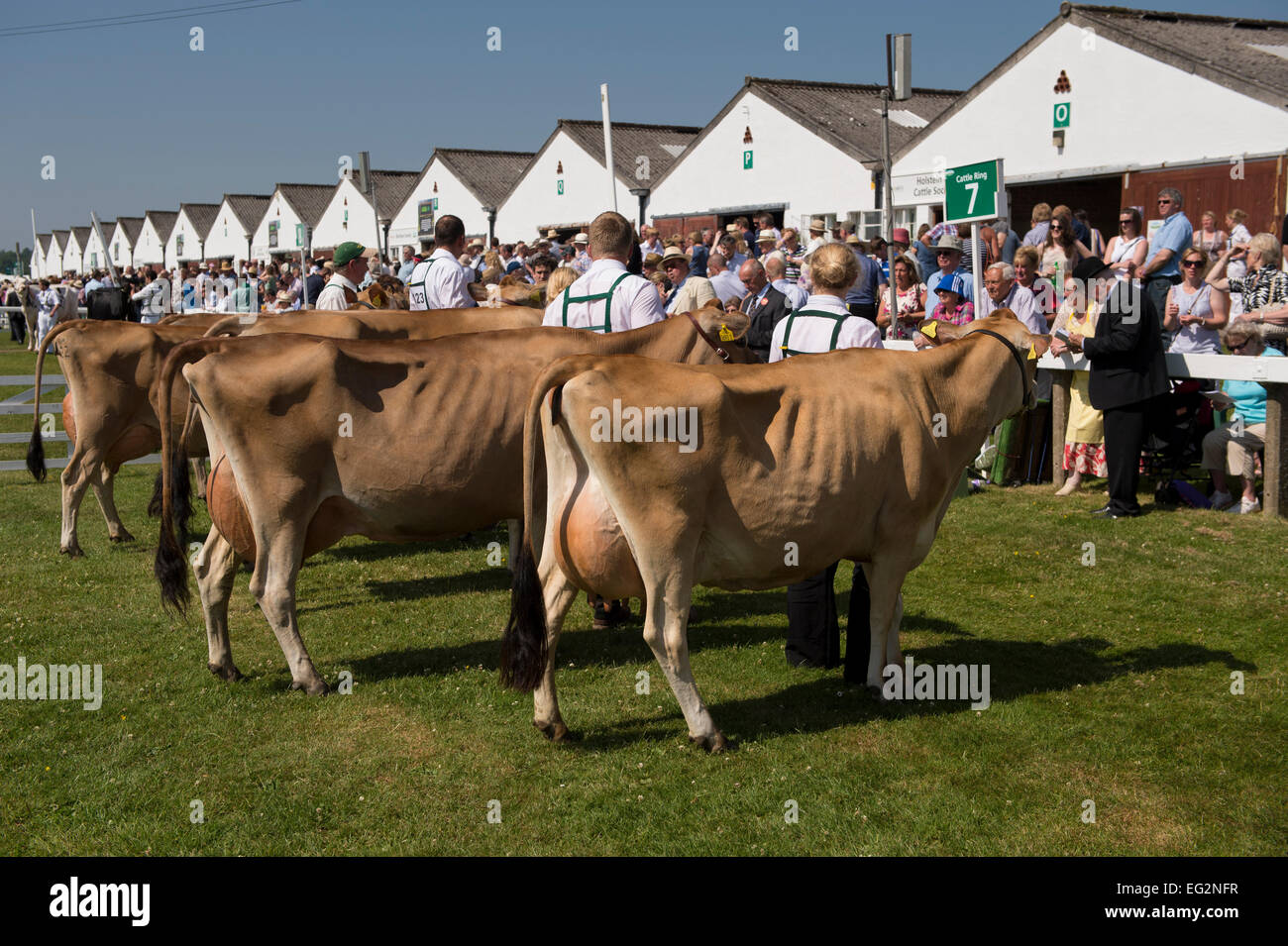 Crowding round the arena hi-res stock photography and images - Alamy