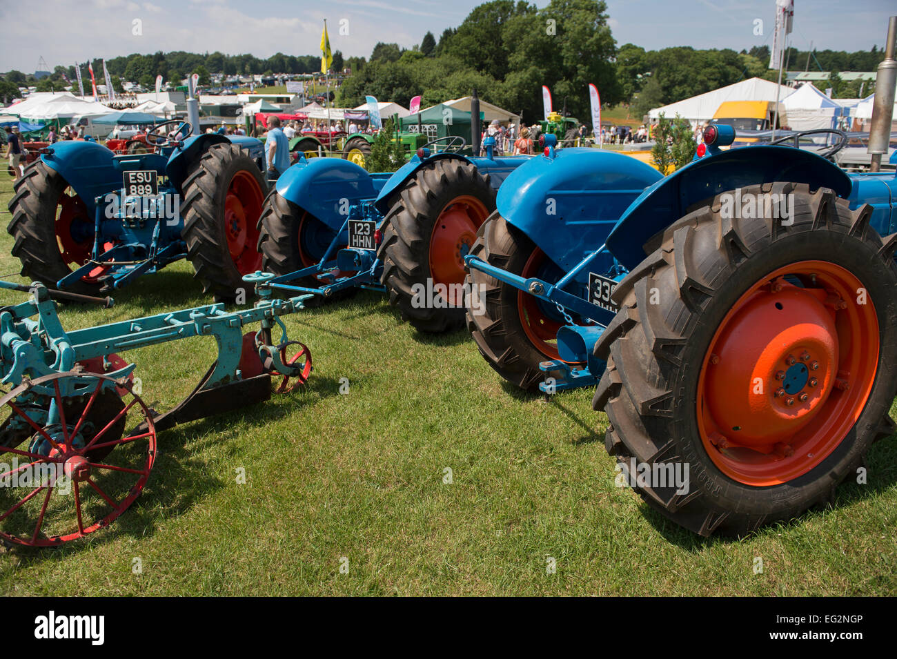 On a sunny day, 3 blue & red vintage Fordson tractors are in a line, on ...