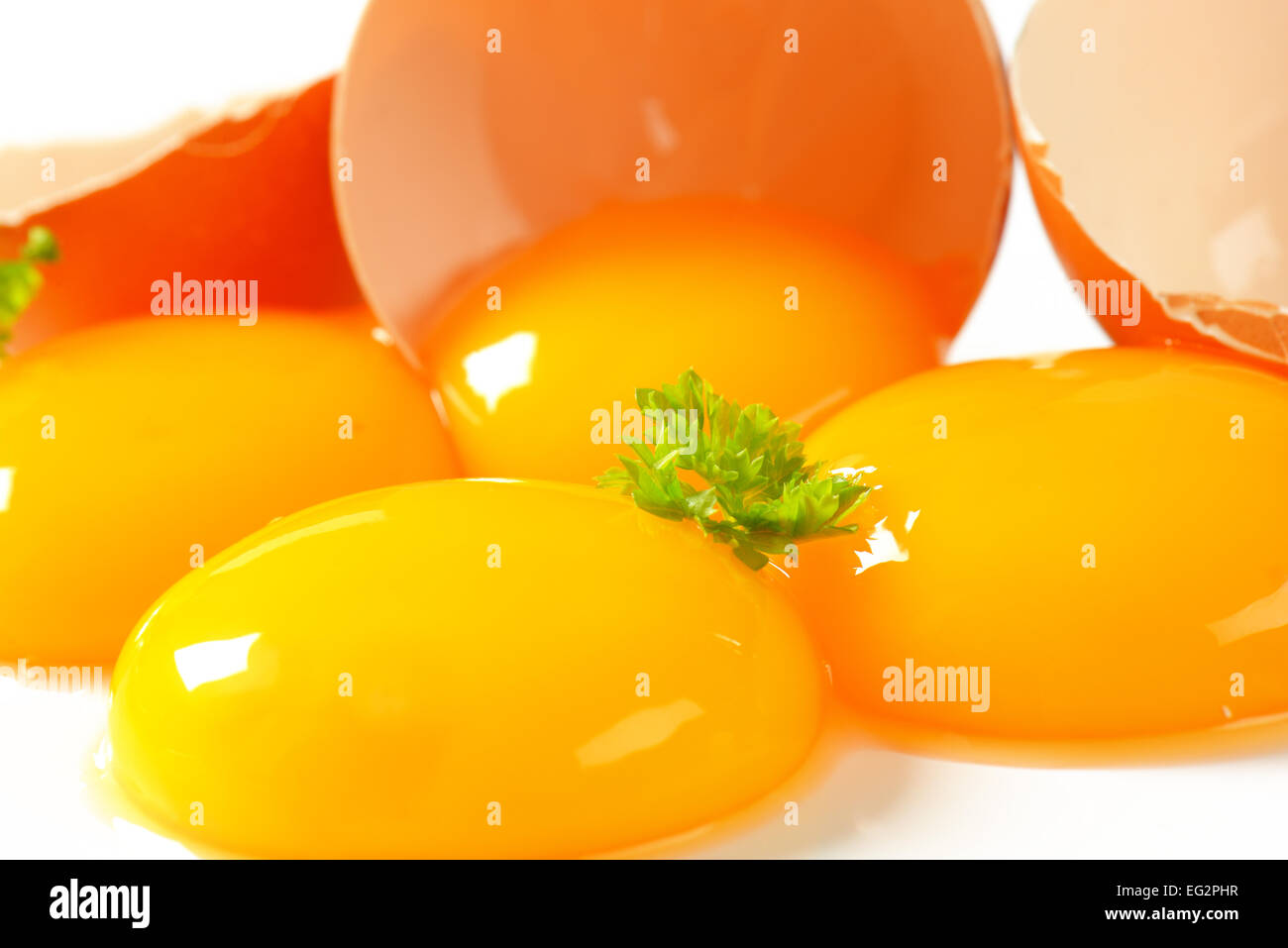Raw egg yolk on white background Stock Photo - Alamy