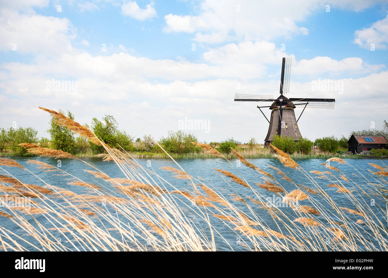 Arrogation hi-res stock photography and images - Alamy