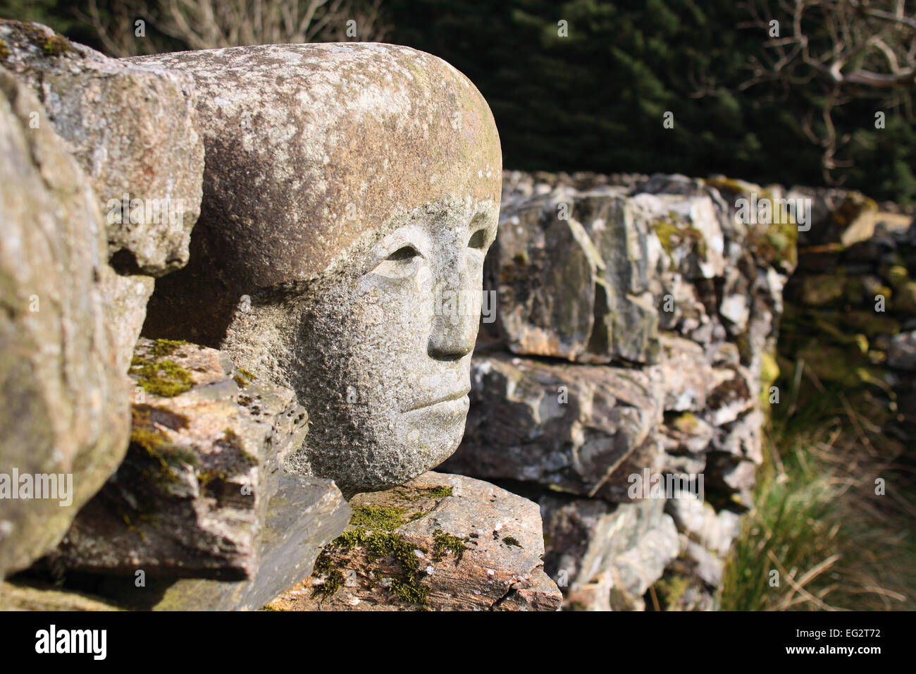 Stone Wall Face Dumfries Galloway Stock Photo - Alamy