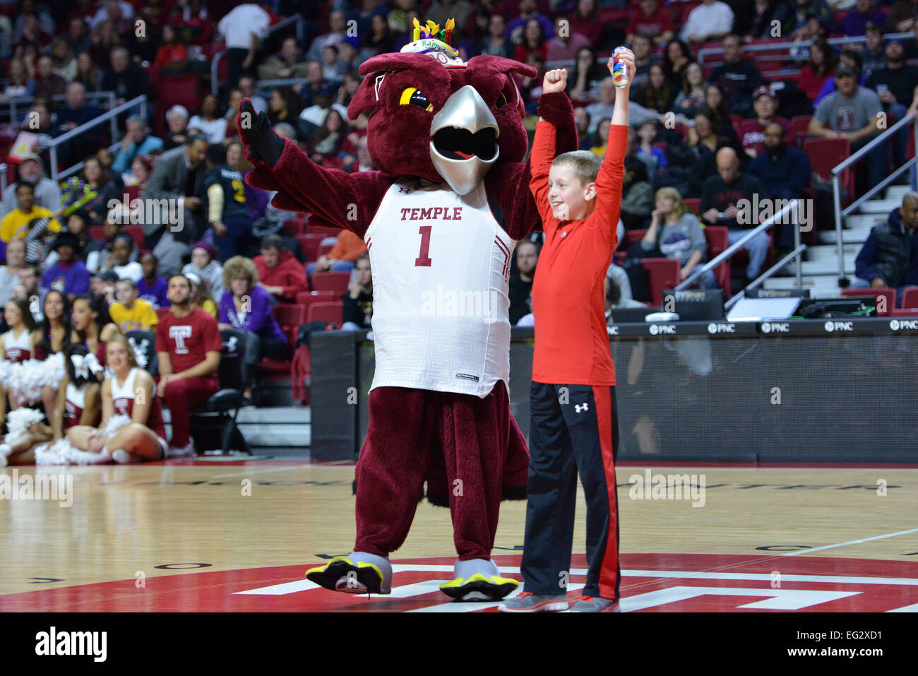 Temple owls mascot hi-res stock photography and images - Alamy