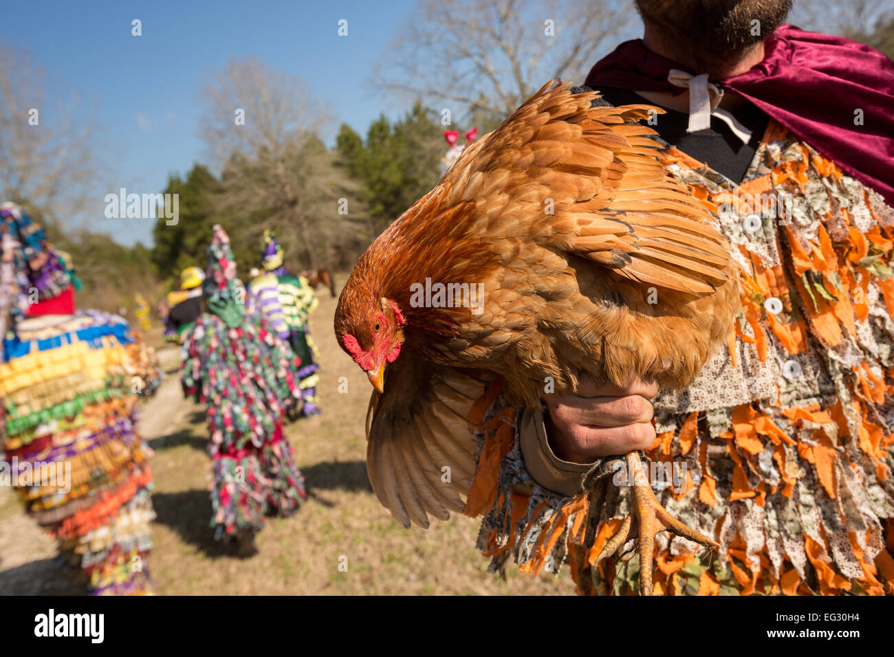 Chicken run costume hi-res stock photography and images - Alamy