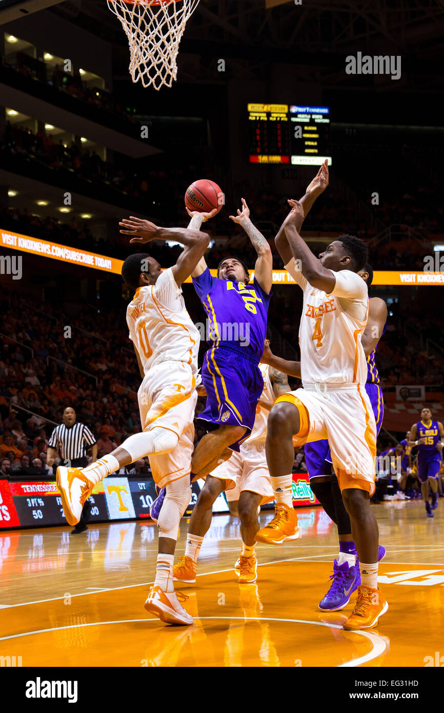 Knoxville, TN, USA. 14th Feb, 2015. Josh Gray #5 of the LSU Tigers ...