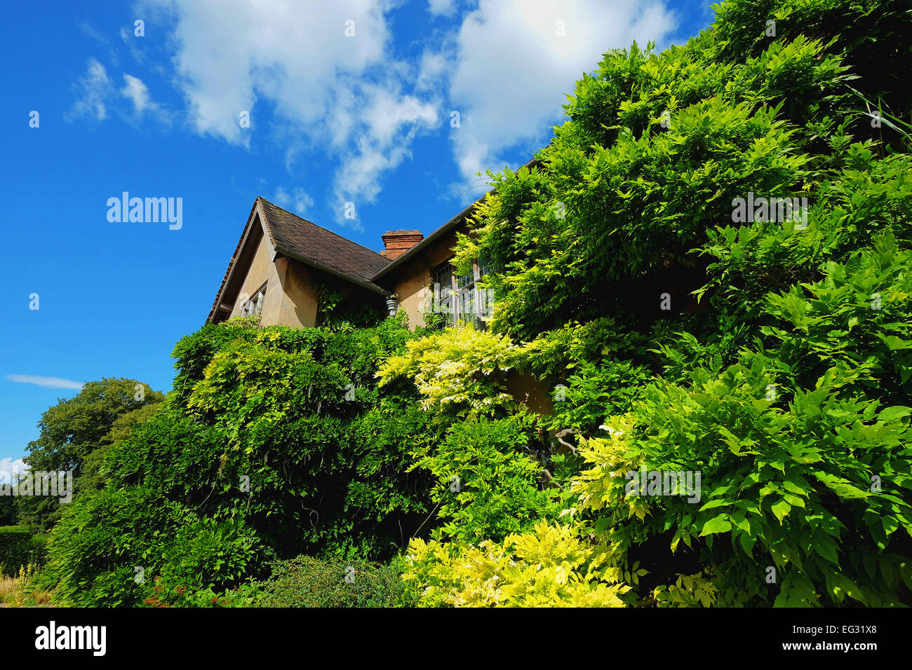 ancient, architecture, aristocracy, aristocratic, beautiful, beauty ...