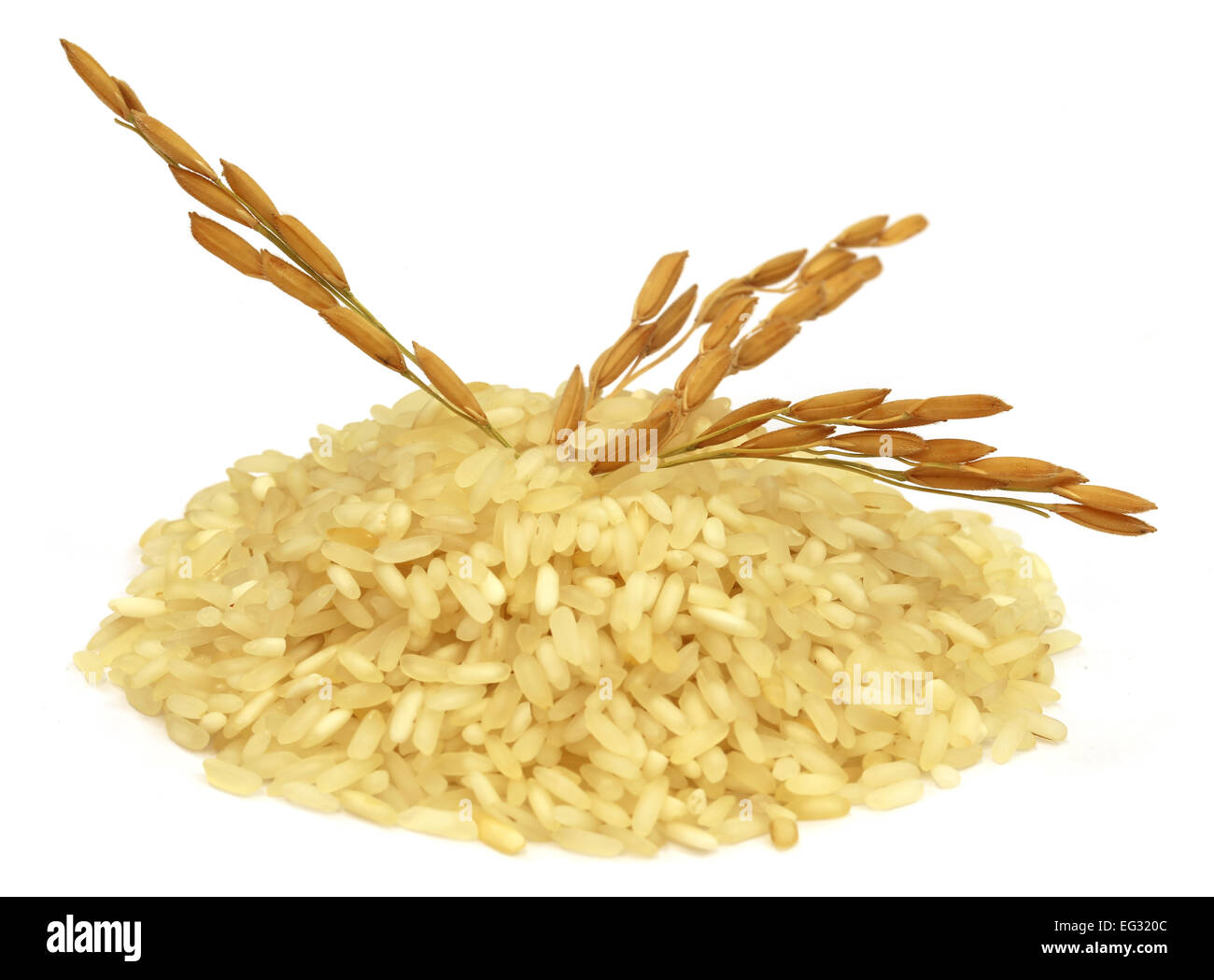 Golden rice hi-res stock photography and images - Alamy