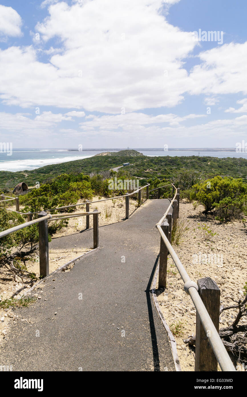 Path leading up to Cheviot Hill, Point Nepean National Park, Portsea ...