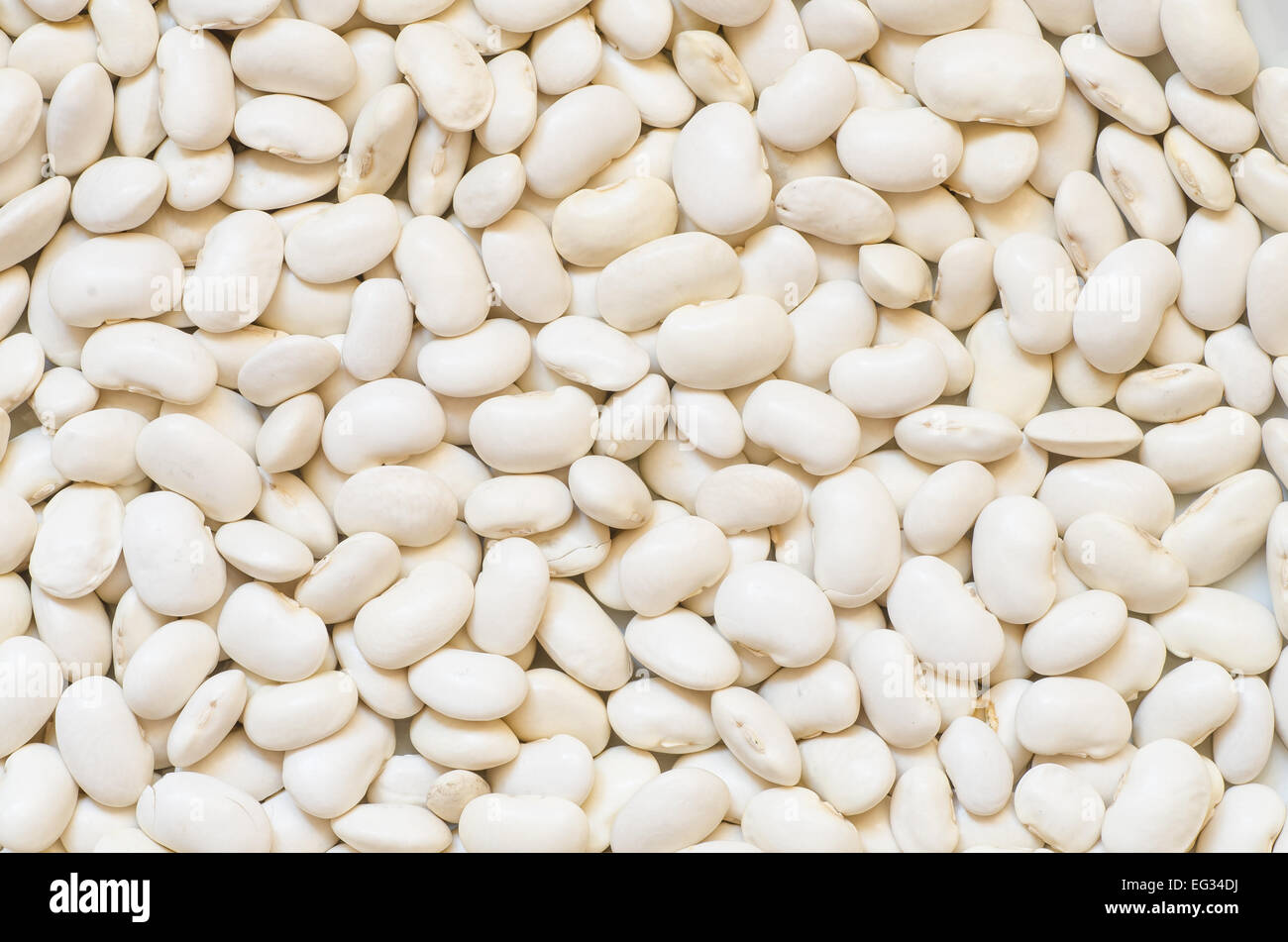 closeup to dry white beans Stock Photo - Alamy