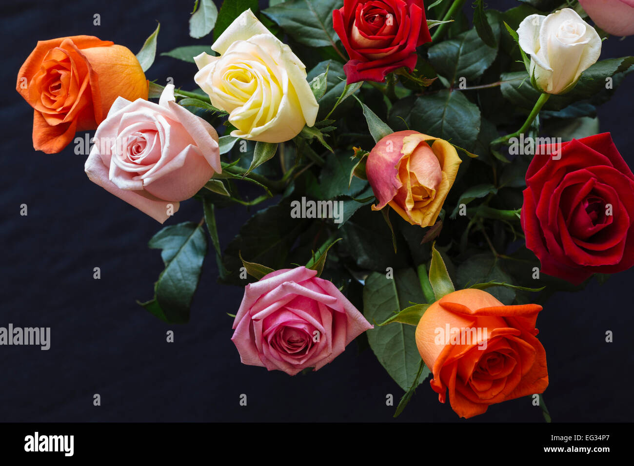 Colourful Pictures Of Roses