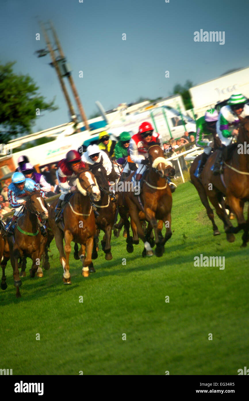 Horse racing at Catterick racecourse Stock Photo - Alamy