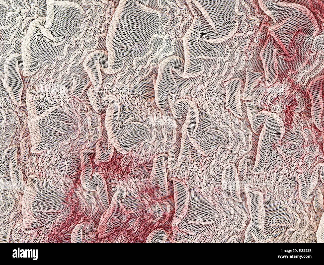 Pinky lady hi-res stock photography and images - Alamy