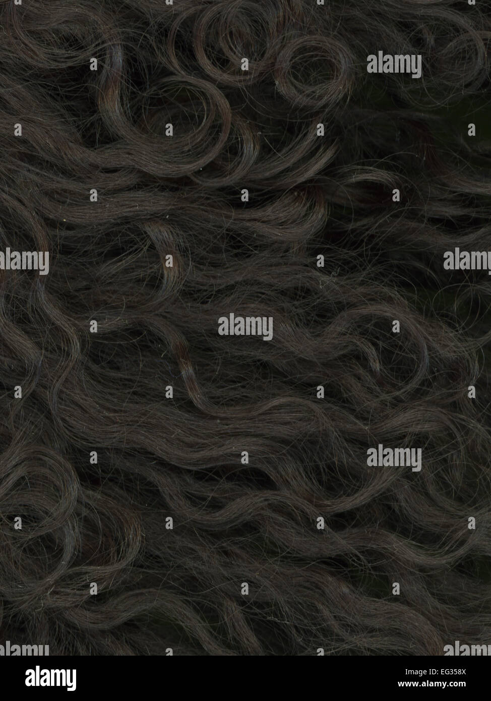 Fur structure hi-res stock photography and images - Alamy