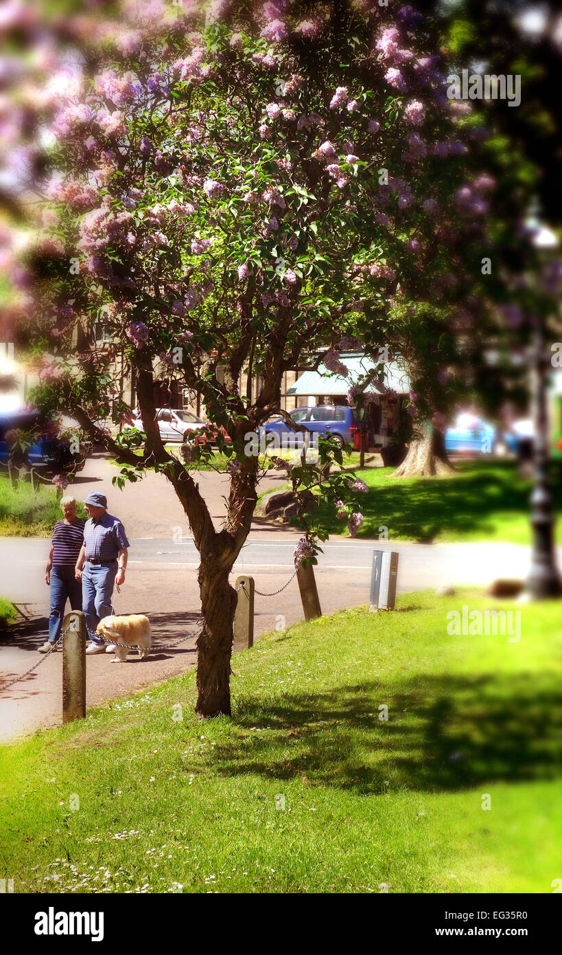 Northumberland rothbury village hi-res stock photography and images - Alamy