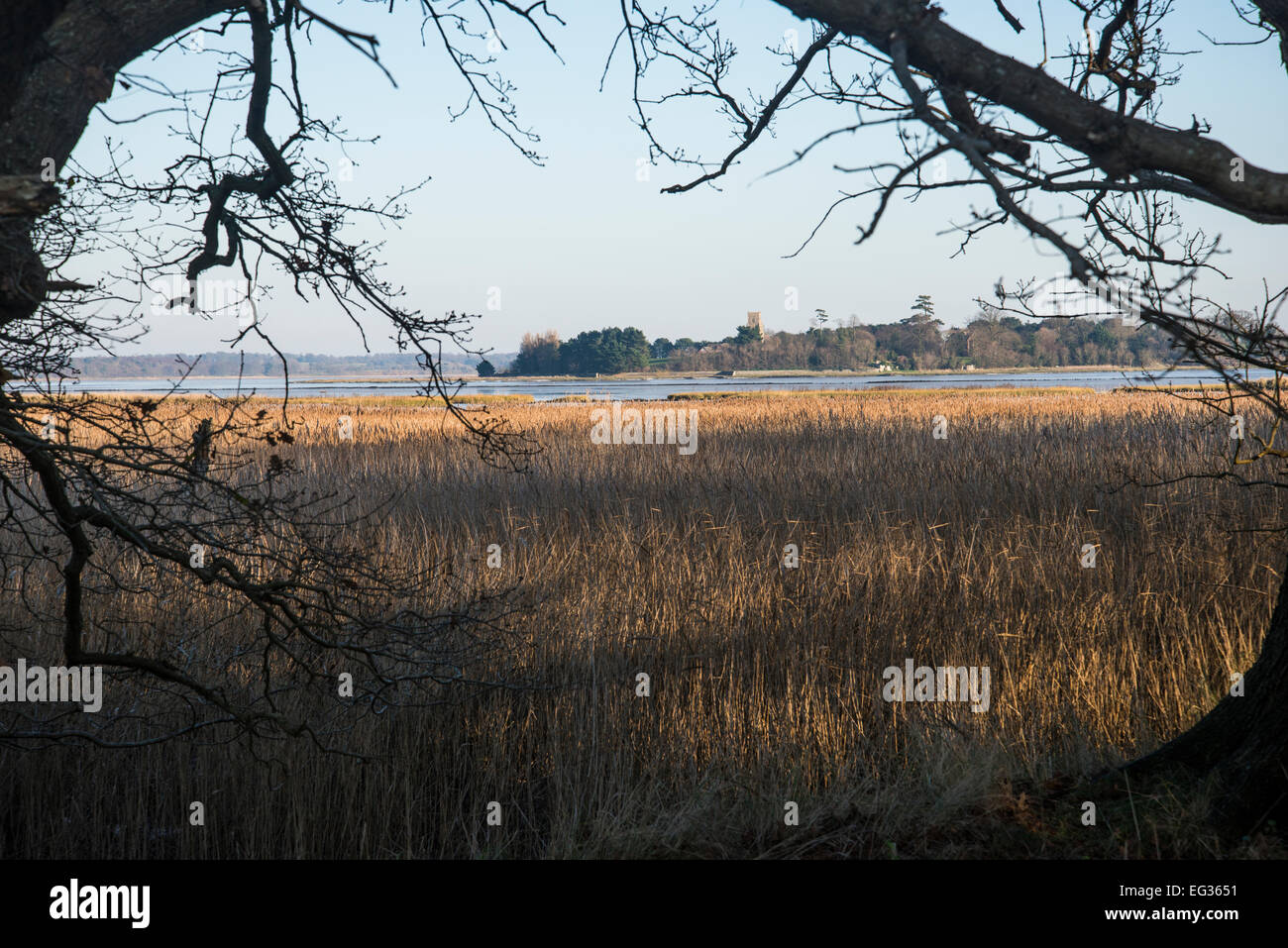Iken Church, from across the River Alde Stock Photo - Alamy