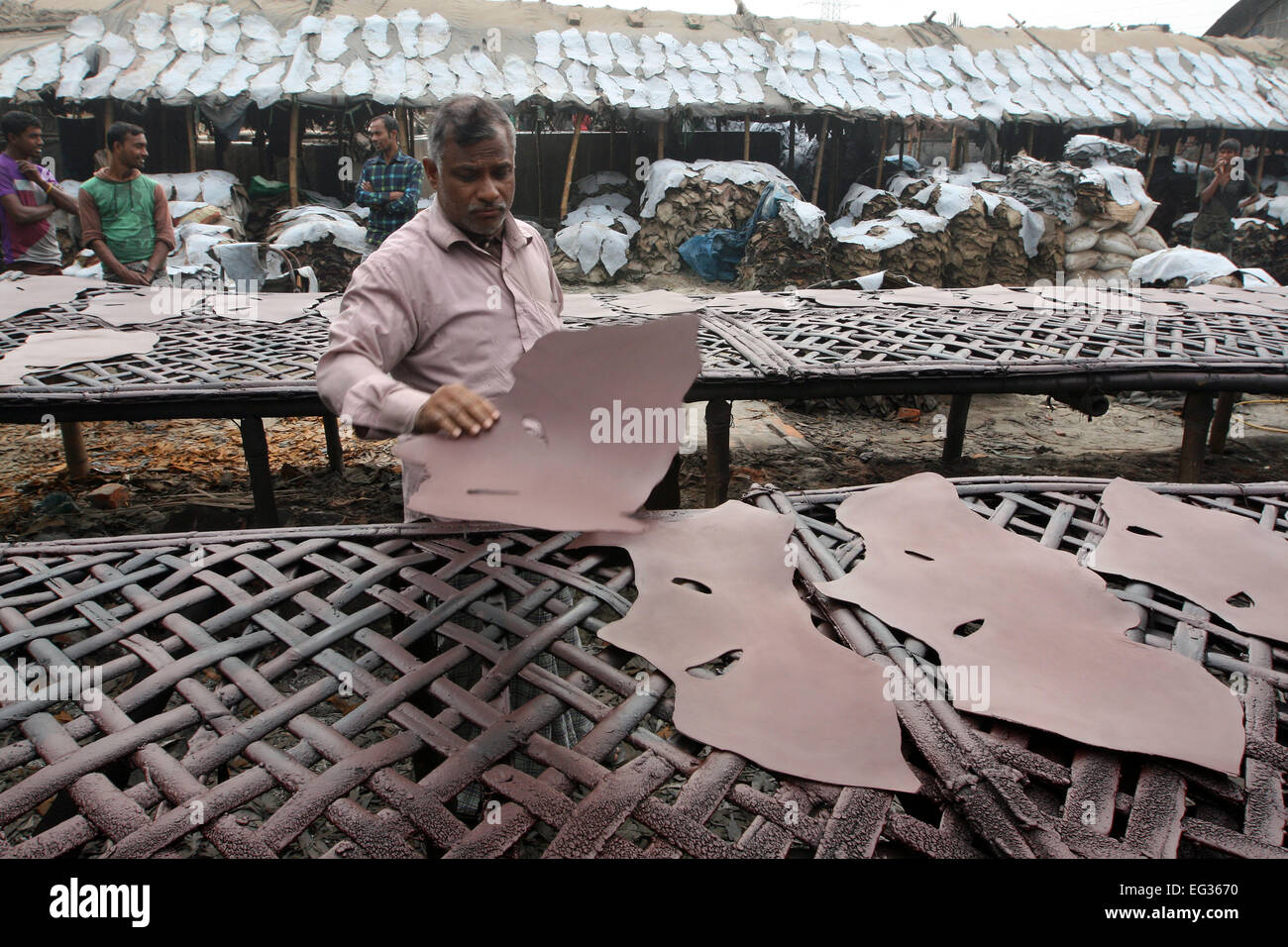 Drying leather under sun. The processed leather will be used to make ...