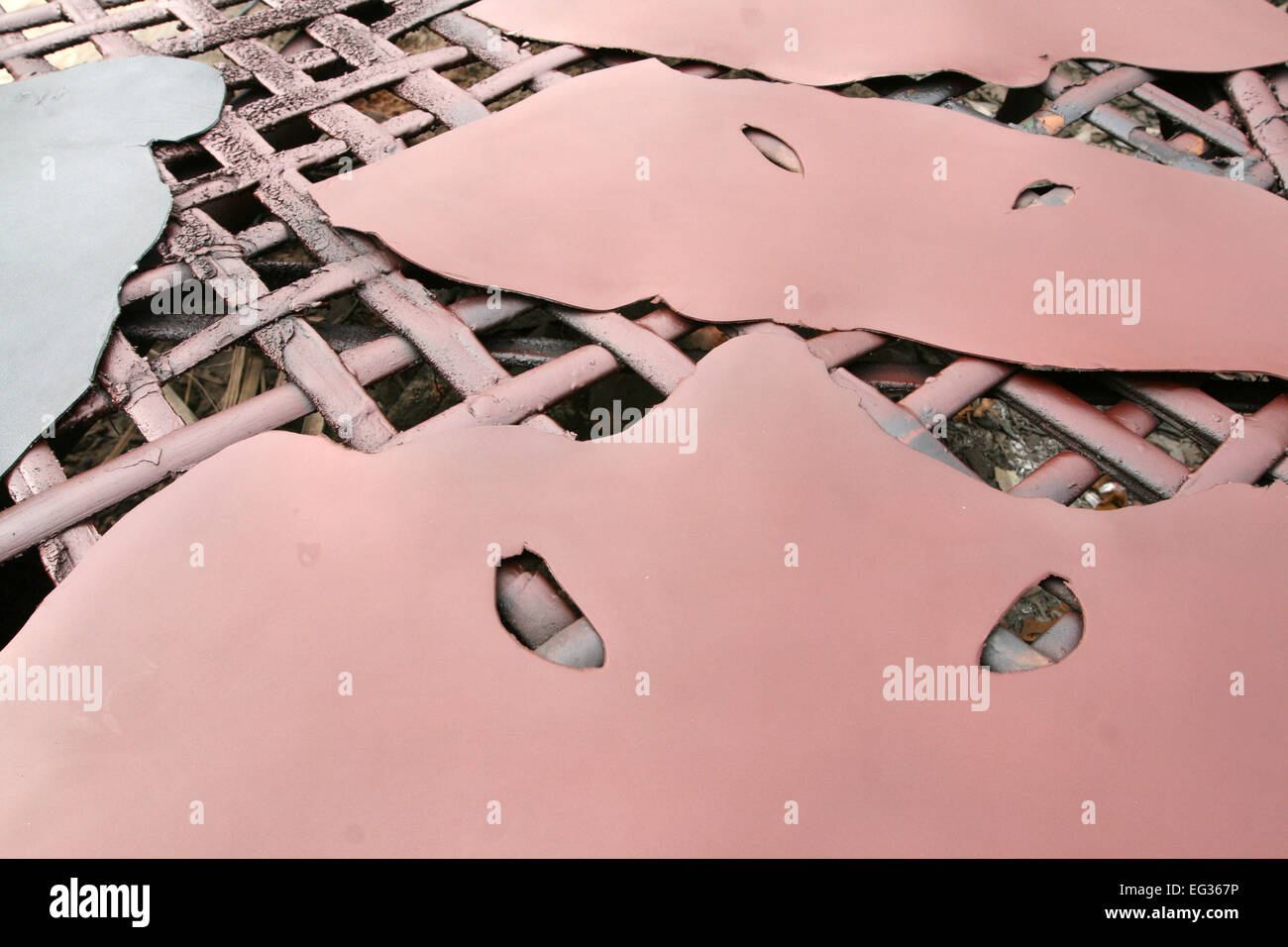 Drying leather under sun. The processed leather will be used to make ...